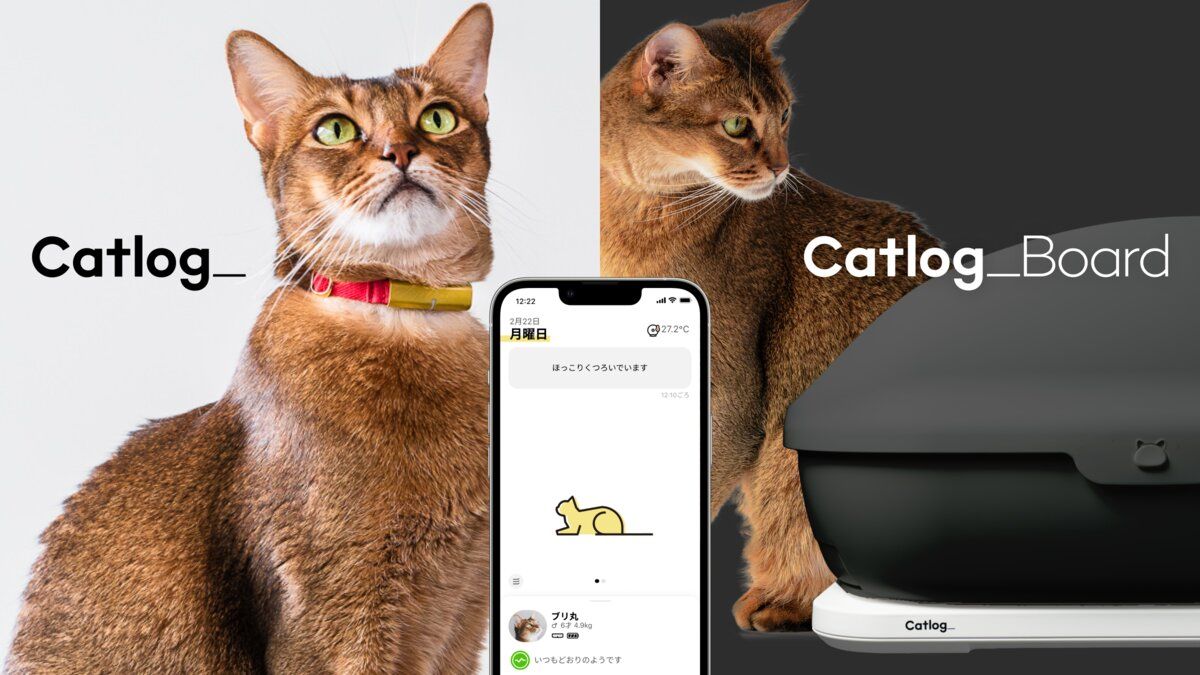 データの力で、世界の動物家族の暮らしを豊かに。動物の種類も超え、国境も越えるRABOの挑戦 | YOUTRUST Studio