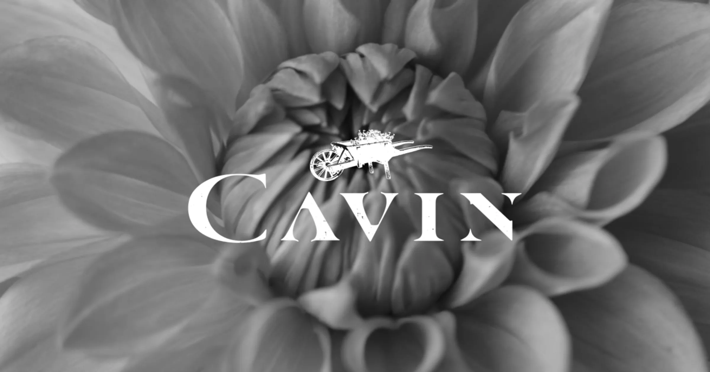 株式会社CAVINの概要・採用情報｜YOUTRUST